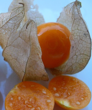 Physalis – Fruta Exótica, Fotos, Nutrientes e Benefícios à Saúde